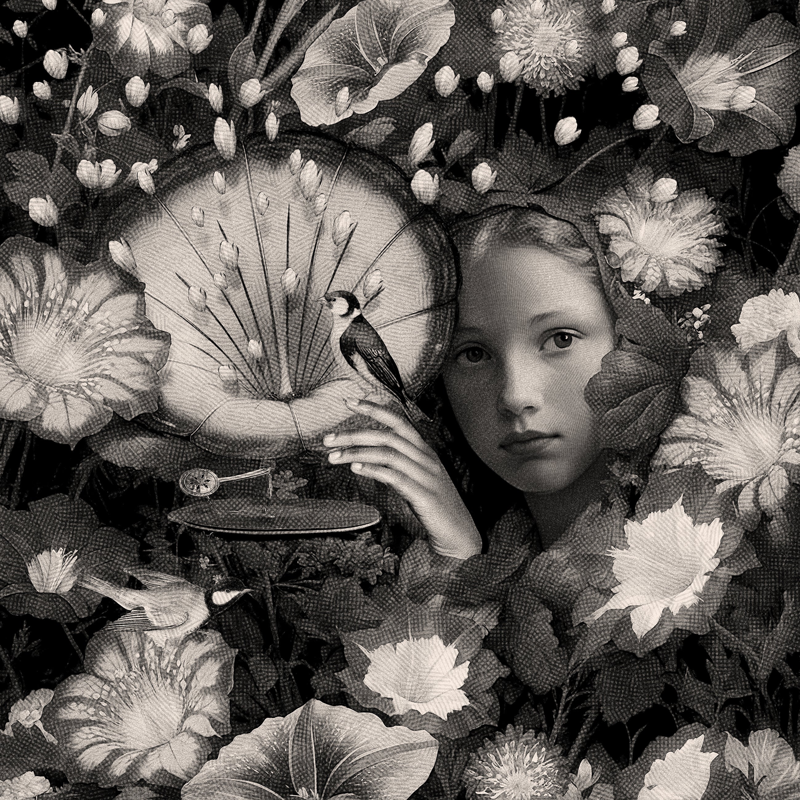 Untitled 20: Photography by Patrick Gonzales | FASTFRAME Fine Art