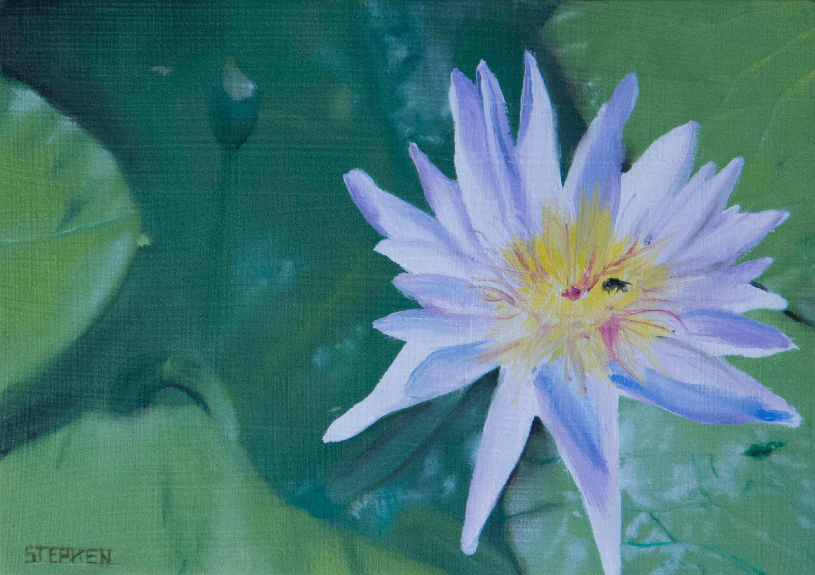 Lilly: Original Artwork by Stephen Curtis | FASTFRAME Fine Art