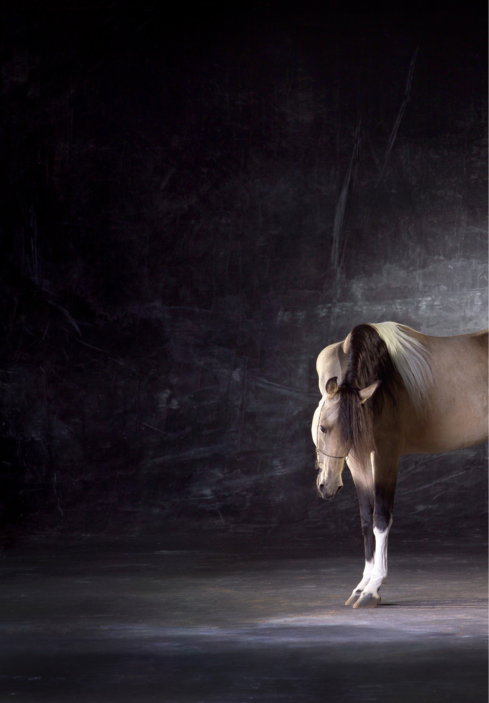 Starbucks: Photograph by Lindsay Robertson | FASTFRAME Fine Art