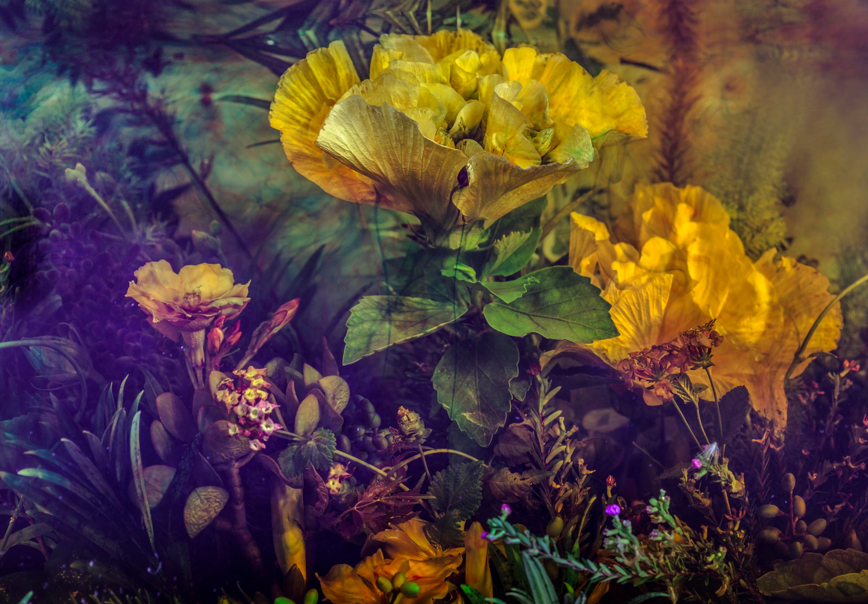 The Botanical Garden: Photography by Javiera Estrada | FASTFRAME Fine Art