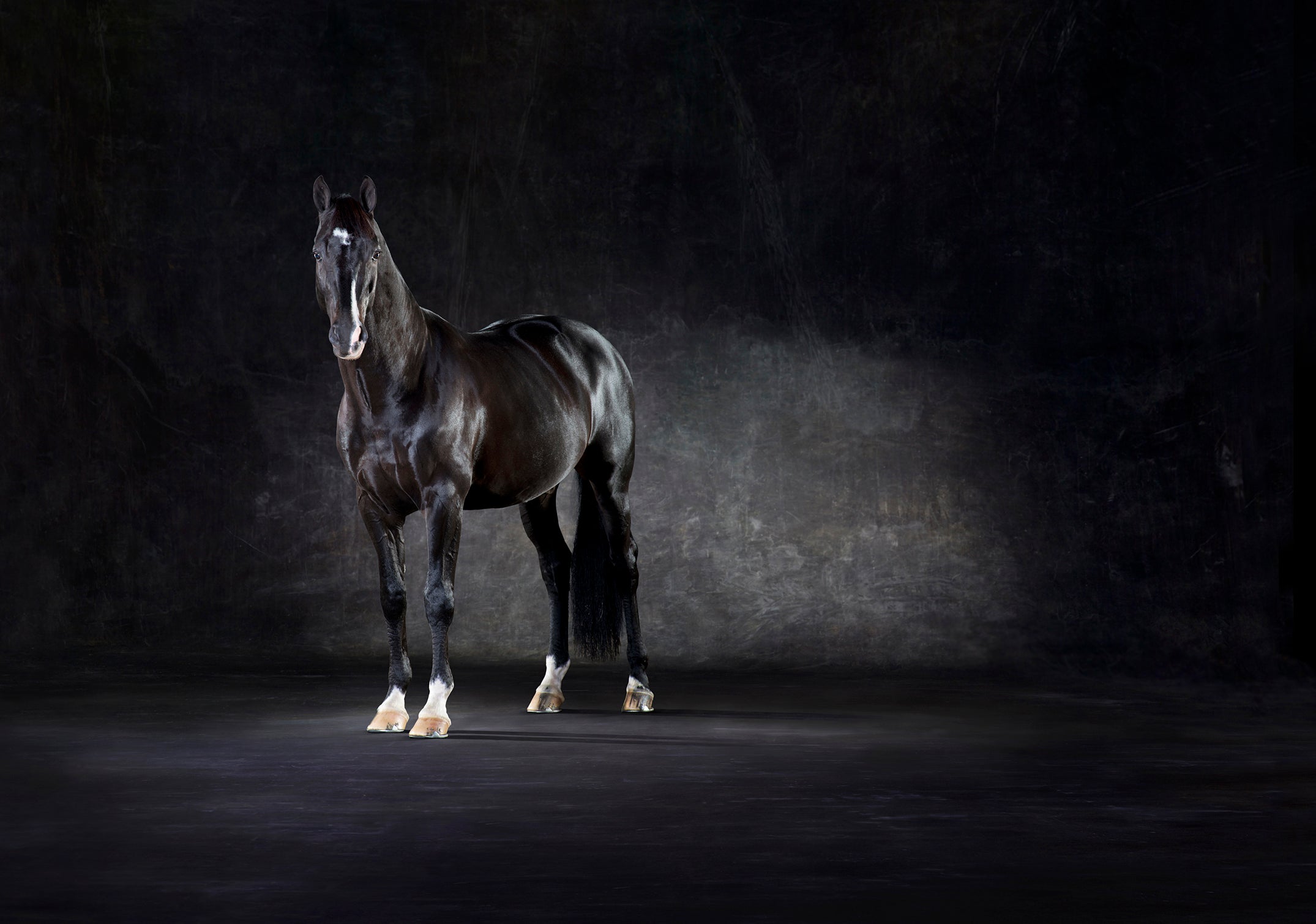 Uthopia: Photograph by Lindsay Robertson | FASTFRAME Fine Art