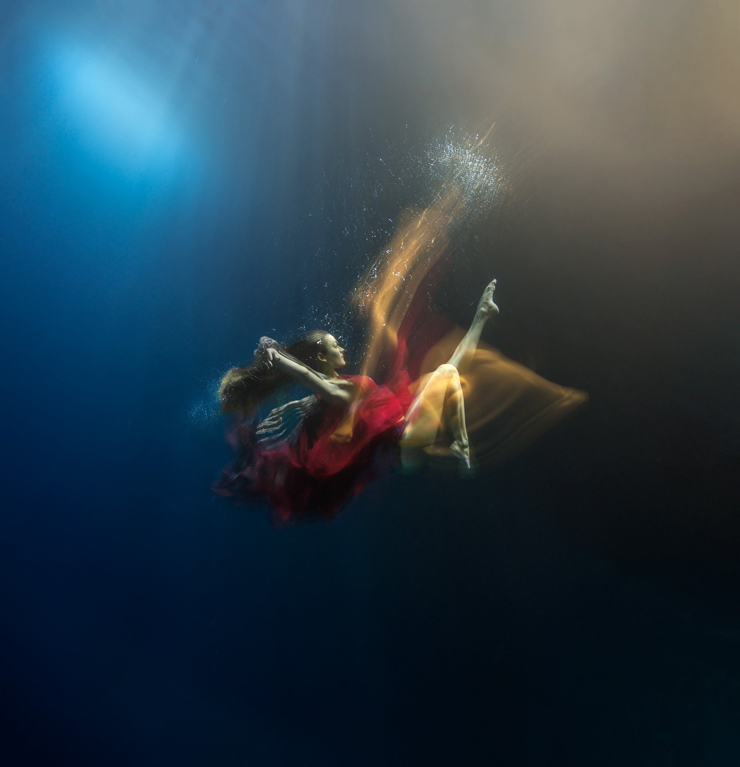 Waterbird: Photography by Maya Almeida | FASTFRAME Fine Art
